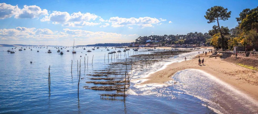 Cap Ferret - Wanderer's Lens